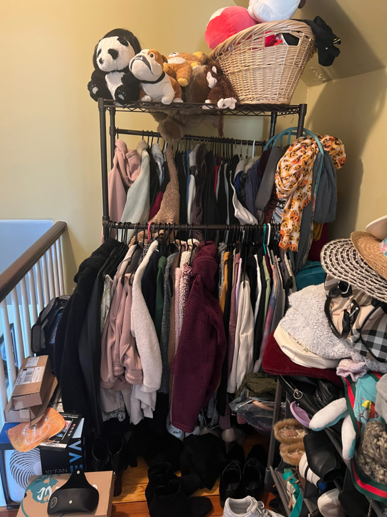 How To Organize Clothes In 2023 - 9 Life-Changing Products You Need ...